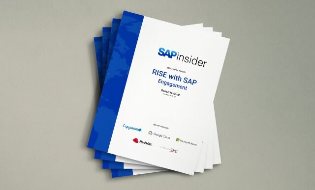 RISE with SAP Now Has Multiple Packaging Options - Mastering SAP